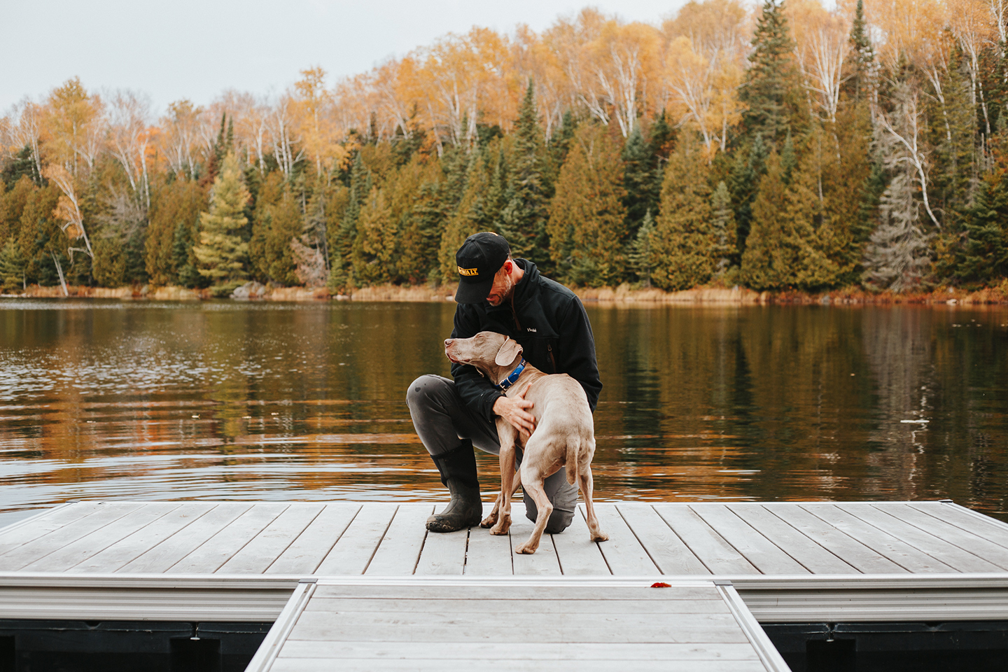 The Creator - Lièvre Rouge